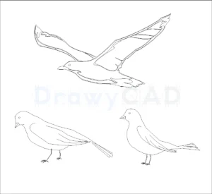 Birds – DrawyCAD – Free DWG Download